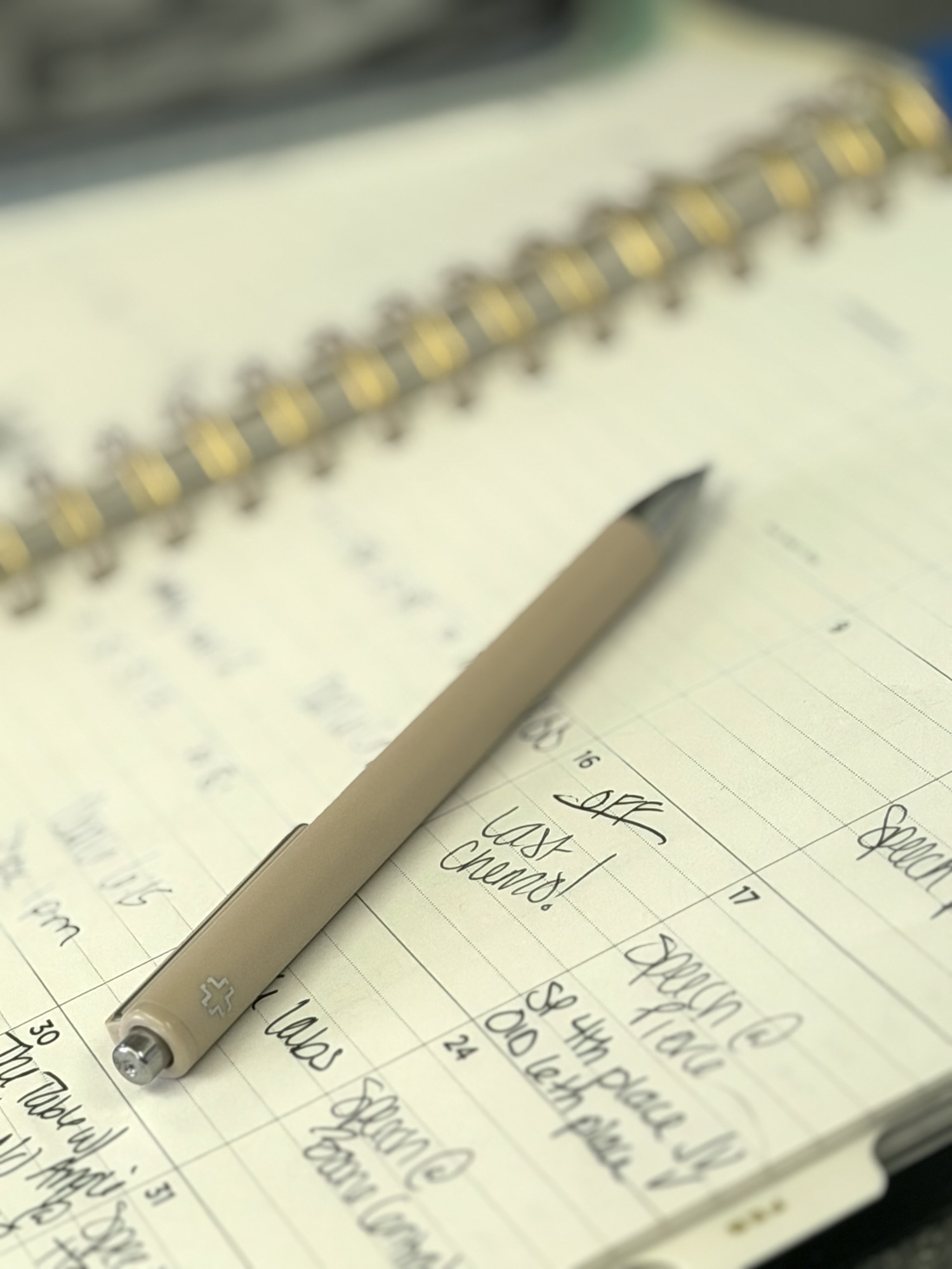 Monday – Rooted + Roaming